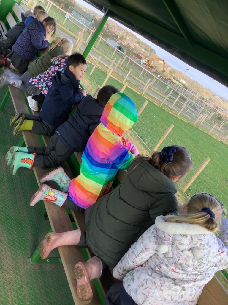 EYFS Trip to the Farm - St. Mary's RC Primary and Nursery School